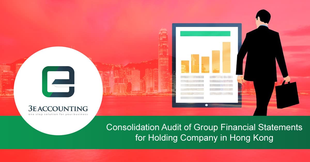 Consolidation Audit of Group Financial Statements for Holding Company